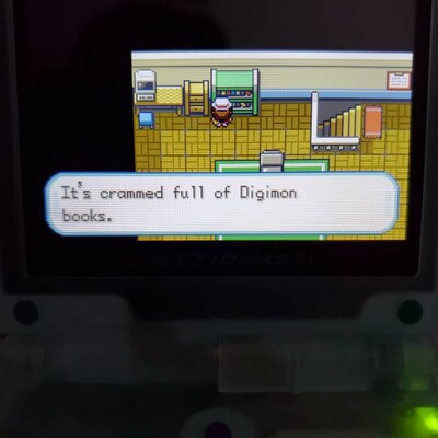 Pokemon outlaw W/ Case Version A ROM - Etsy