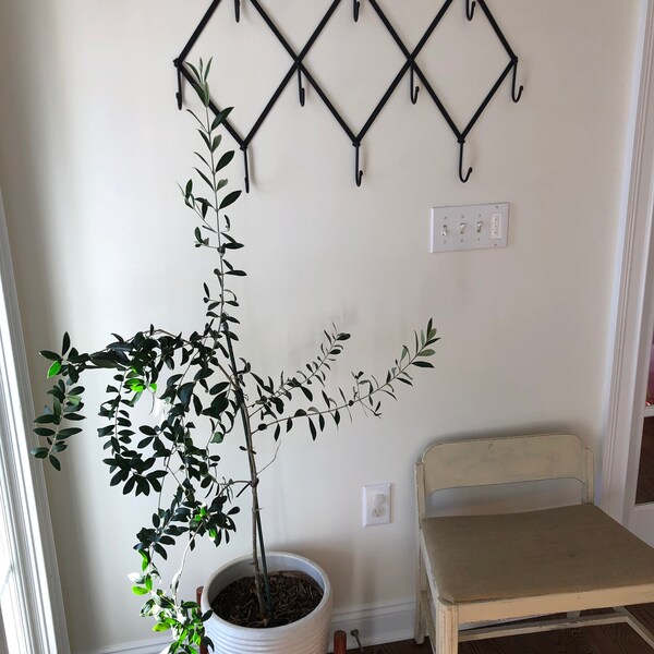 Vintage Style Folding Hand Forged IRON Metal Expending Accordion Rack W ...