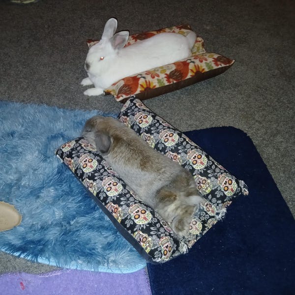 Seagrass Mat Replacements for Enrichmat™ | Snuffle Mat | Foraging ...