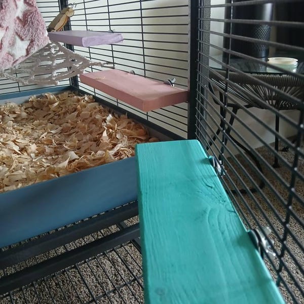 Bearded Dragon Candy Corn Costume Sweater, Halloween Lizard Sweater ...