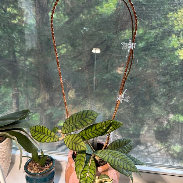 Twisted Copper Spider Web Trellis - Spider Gemstone Plant Trellis- Hoya ...