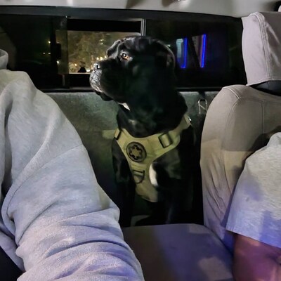 OCP Neck Gaiter and Flag Patch Combo//ocp Multicam Face Covering ...