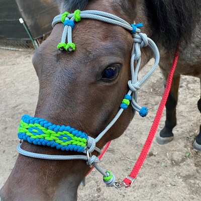 Soft Rope Halter Bitless Bridle Hackamore Diamond Paracord Overlay With ...