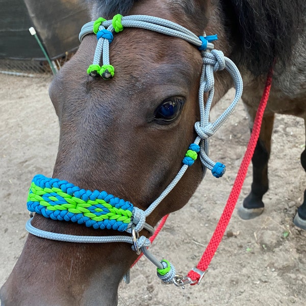Soft Rope Halter Bitless Bridle Hackamore- Diamond Paracord Overlay ...