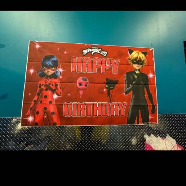 5x3ft Miraculous Ladybug Backdrop for Birthday Party Decorations ...