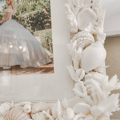 White Sea Shell Mix Beach Wedding Decor Sea Shells Bulk Bag of - Etsy