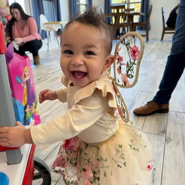 Adult Extra Large Floral Embroidery Fairy Wings Hand Crafted High ...