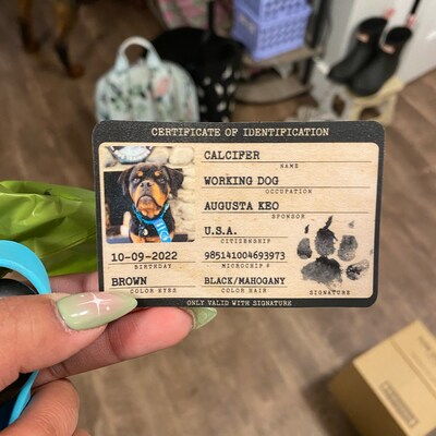 Blue Flame and Howl's Moving Castle Quote Sticker Fire - Etsy Canada