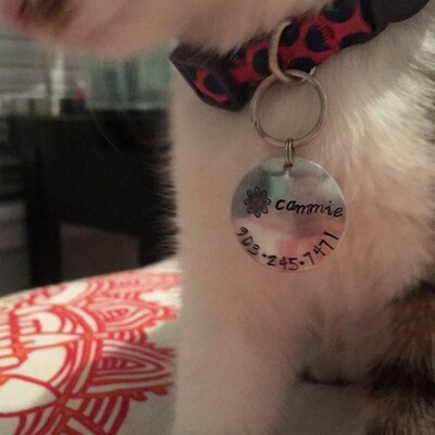 Dog Tag Cat Tag Pet ID Tag 1 Round Hand Stamped Pet Name Tag Domed ...