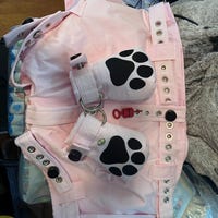 Baby Mint ABDL Straitjacket Straitjacket for Adult Baby Diaper Lover ...