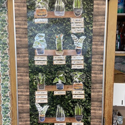 Modern Boho Plants Birthday Display Rustic Boho Classroom Decor ...