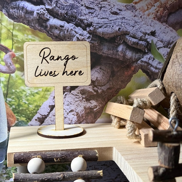 Personalized Reptile Bearded Dragon Name Sign, Reptile House Sign, Tank ...