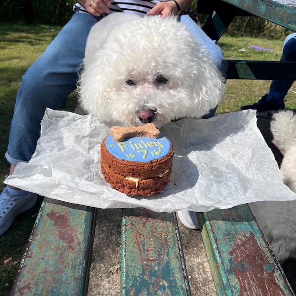 Dog Birthday Boy Cake and Pupcakes - Etsy UK