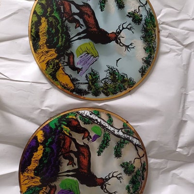 Shell Educational Poster Life on the Tide Line - Etsy UK