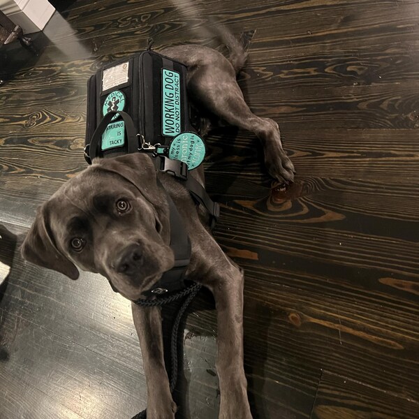 Basic Patch Set Black Canvas Teal Embroidery POTS Dysautonomia Patch ...