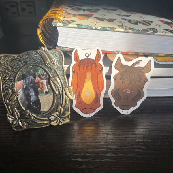 Horse Snoots Sticker Gifts for Equestrians and Horse Lovers - Etsy