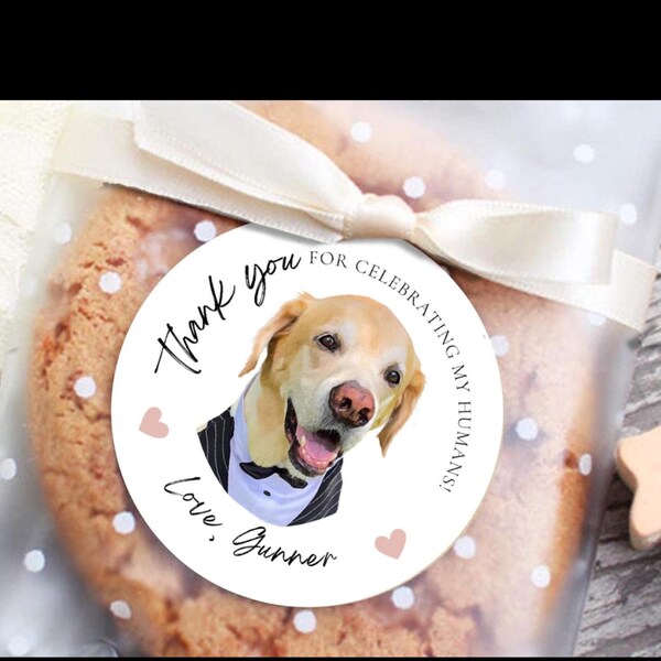 Custom Dog Wedding Favor Stickers, Dog of Honor Personalized Pet Photo ...