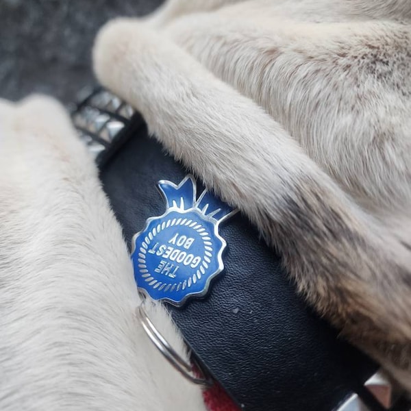 Cannoli Dog Tag, Cannoli Dog Tag Personalized, Pastry Pet Tag, Dessert ...