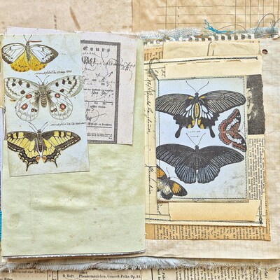 Specimen Labels Vol.1 With 20 Pages With Over 150 Seperate GENUINE OLD ...