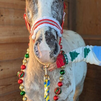Crinet Crest of Neck Foam Armor for Horses or Ponies Criniere Medieval ...