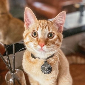 Psych Themed SBPD ID Badges psych TV Show seasons 1-8 - Etsy