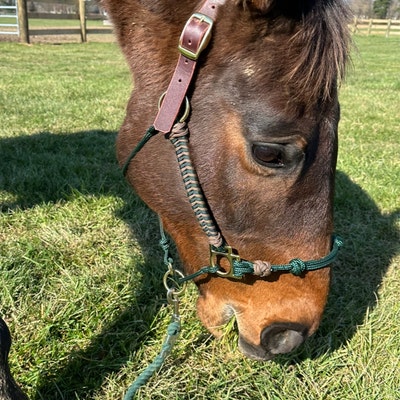 Sunflower Paracord Bitless Bridle, Sidepull Attachment. - Etsy
