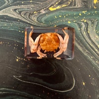 Bulk Kunzite Spodumene Crystals - Etsy Canada