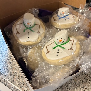 Travel Cookies Foreign Exchange Student Cookies 1 Dozen - Etsy