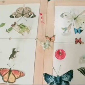 Backyard Birds of North America Poster, Printable Homeschooling Wall ...