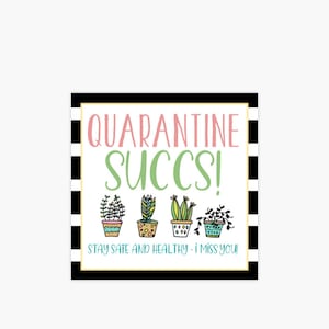 School Would SUCC Without You Succulent Gift Tag, Staff Teacher ...