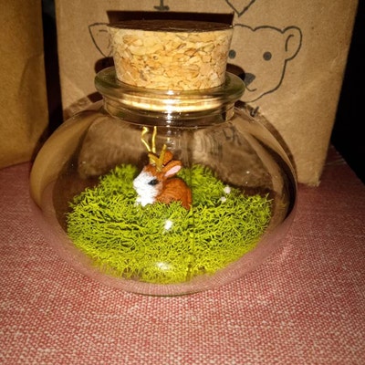 Miniature Ladybug Terrarium by Sbmathieu - Etsy