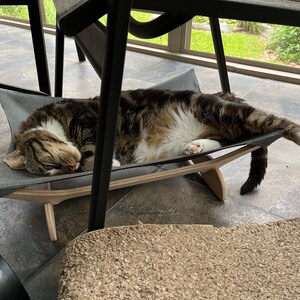 Cat Hammock, Cat Bed, Cat Hammock Stand, Cat Hammock Bed, Cat Couch ...
