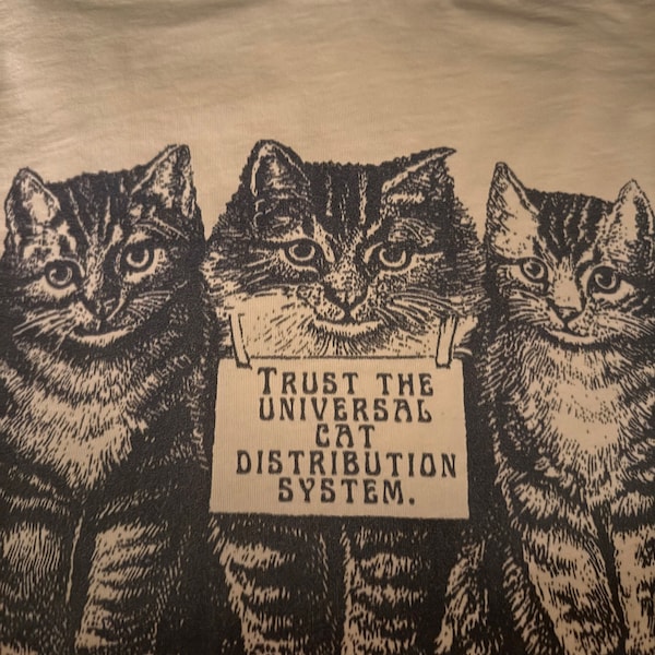 Crow Shirt Goblincore Aesthetic Forest T Shirt With Crow, Corvid Shirt ...