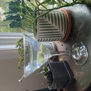 Fake Tequila Shot - Etsy