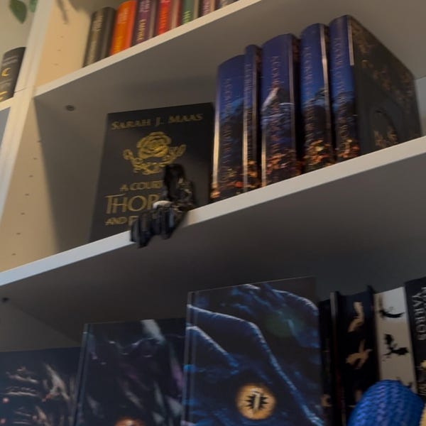 3D Printed Suriel Figurine, Suriel Tea Figurine Bookshelf Decor, ACOTAR ...