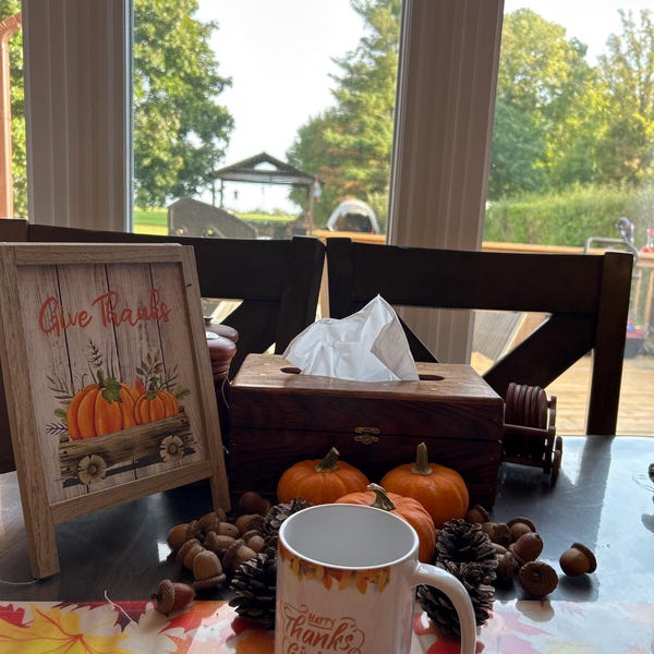 In My Bluey Era, Adult Bluey Socks, Bluey Theme Socks, Bluey Cartoon ...