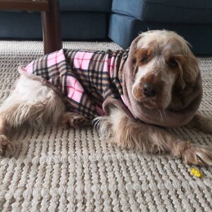 Waterproof Thick Dog Snood Swimming Cap for Dog Dog Hat - Etsy