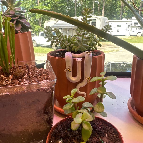 Milk & Honey Pot Pal Snake | Original Creator EST. 2020 | Handmade ...