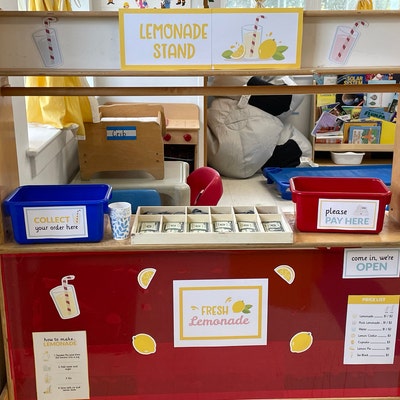 Doctor Dramatic Play Set, Hospital or Doctor's Practice Pretend Play ...