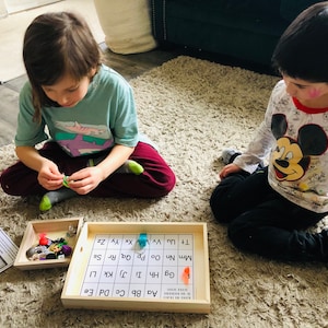 Animal Classification Sorting Set, Montessori Object Classification ...