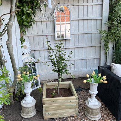 Hampton Large Corner Arbour - Etsy UK