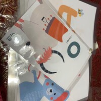 PRINTED Pocket-sized Korean Basic Phrases Dialogue Flashcards ...