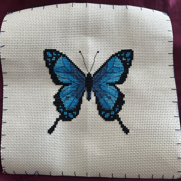 Ulysses Butterfly - Cross Stitch Pdf Pattern - Etsy