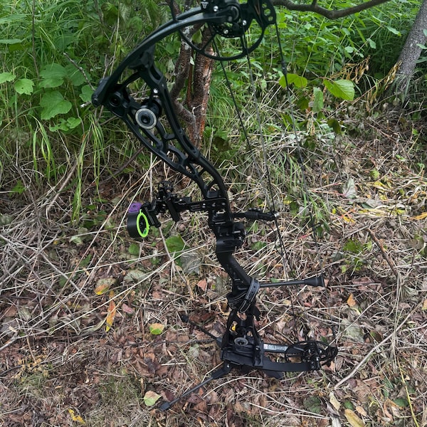 Carbon Zion/ Icon Bow Stand. - Etsy