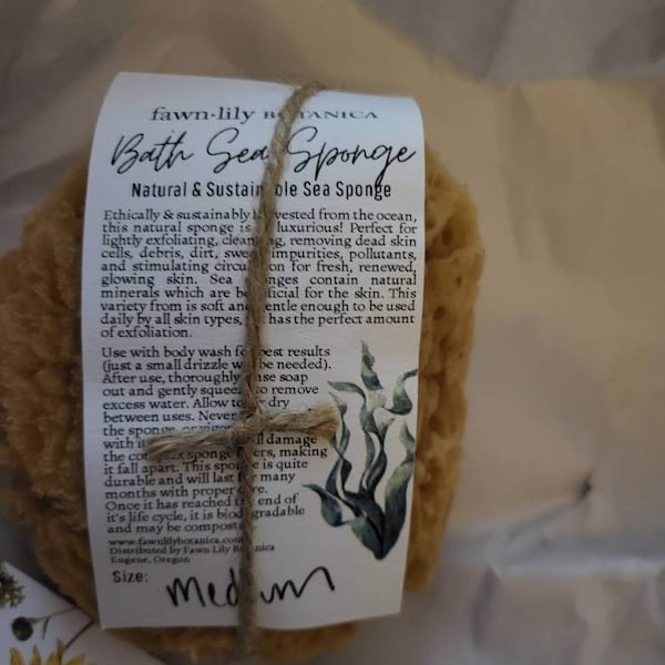 Sustainable Bath Sea Sponges - Natural Gentle Body Exfoliation for Bath ...