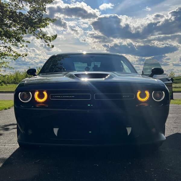 Universal Car Vampire Teeth / Bumper Fangs / Halloween Car Decoration ...