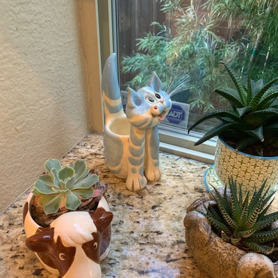 Cobalt Blue Tabby Cat Toothpick Holder, Cats, Handmade Cats, Hand ...