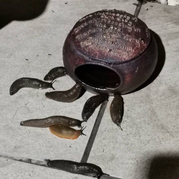 Hand Thrown Slug Pub With Funny Poem 11cm X 7cm Approx - Etsy