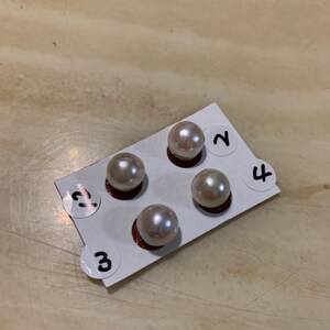 16.9x14.0mm Natural Deep Sea Angel Skin Color Coral Oval | Etsy