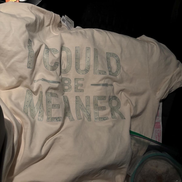 I Could Be Meaner Tee - Spicy Attitude Shirt - Confident and Funny ...